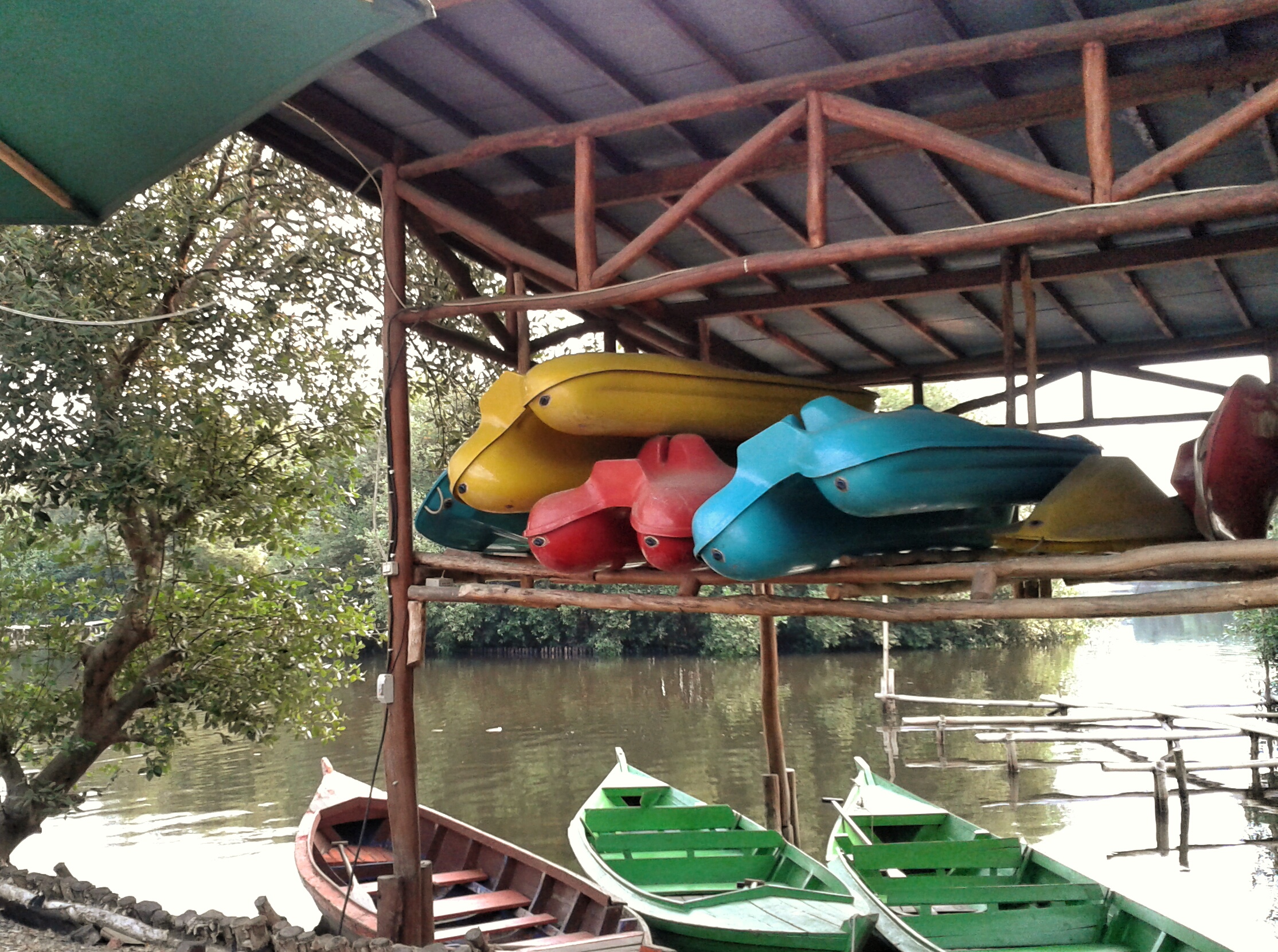 Beberapa Fakta Tentang Taman Wisata Alam Angke Kapuk | Males Mandi